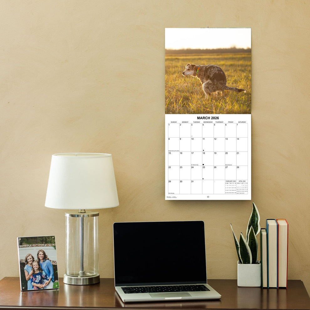 2026 Dumping Dogs in Scenic Spots Monthly Wall Calendar - Pooping Dogs ...